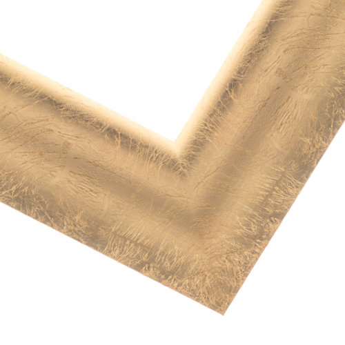 The Beatriz Frames Collection | Pictureframes.com