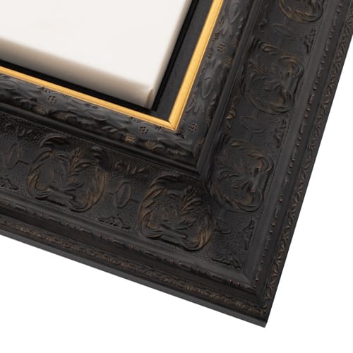 The Arianna Frames Collection | Pictureframes.com