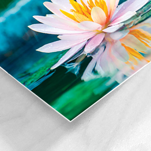 Custom Paper Print | Pictureframes.com